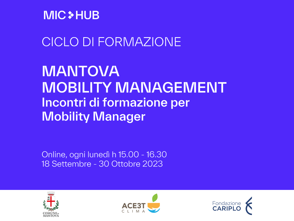 MIC-HUB conducts the cycle of meetings about Mobility Management